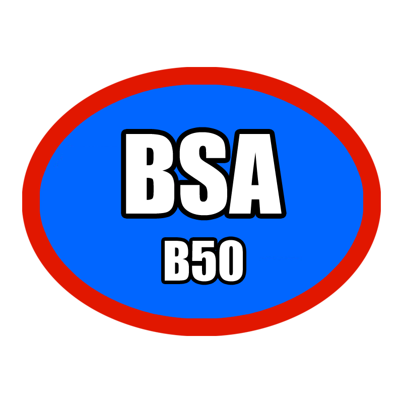 Catalogue: BSA B50 - Performance Engineering Services